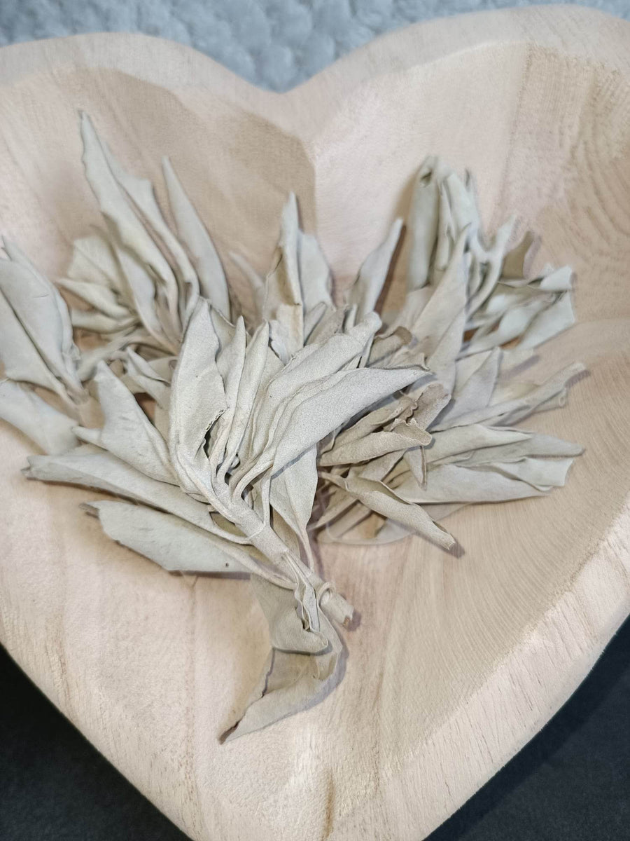 Sauge Blanche - Feuilles Séchées – Aux Pierres Sacrées